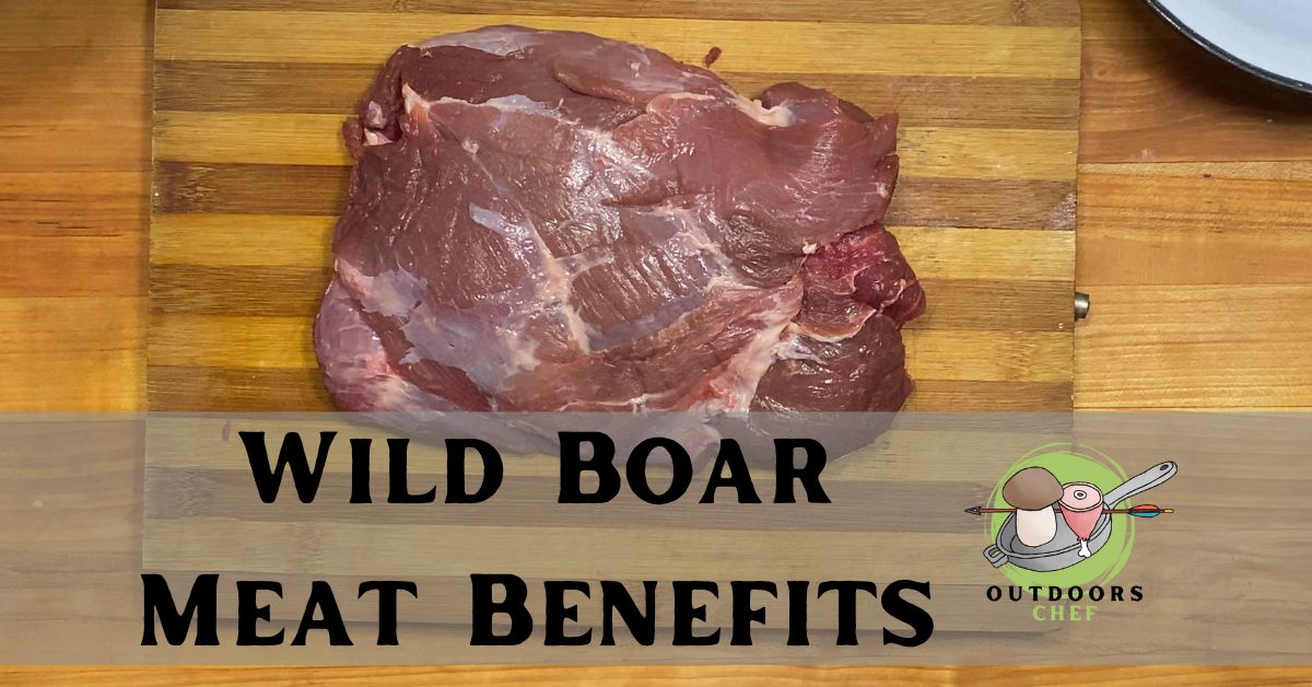 Wild Boar Meat Benefits